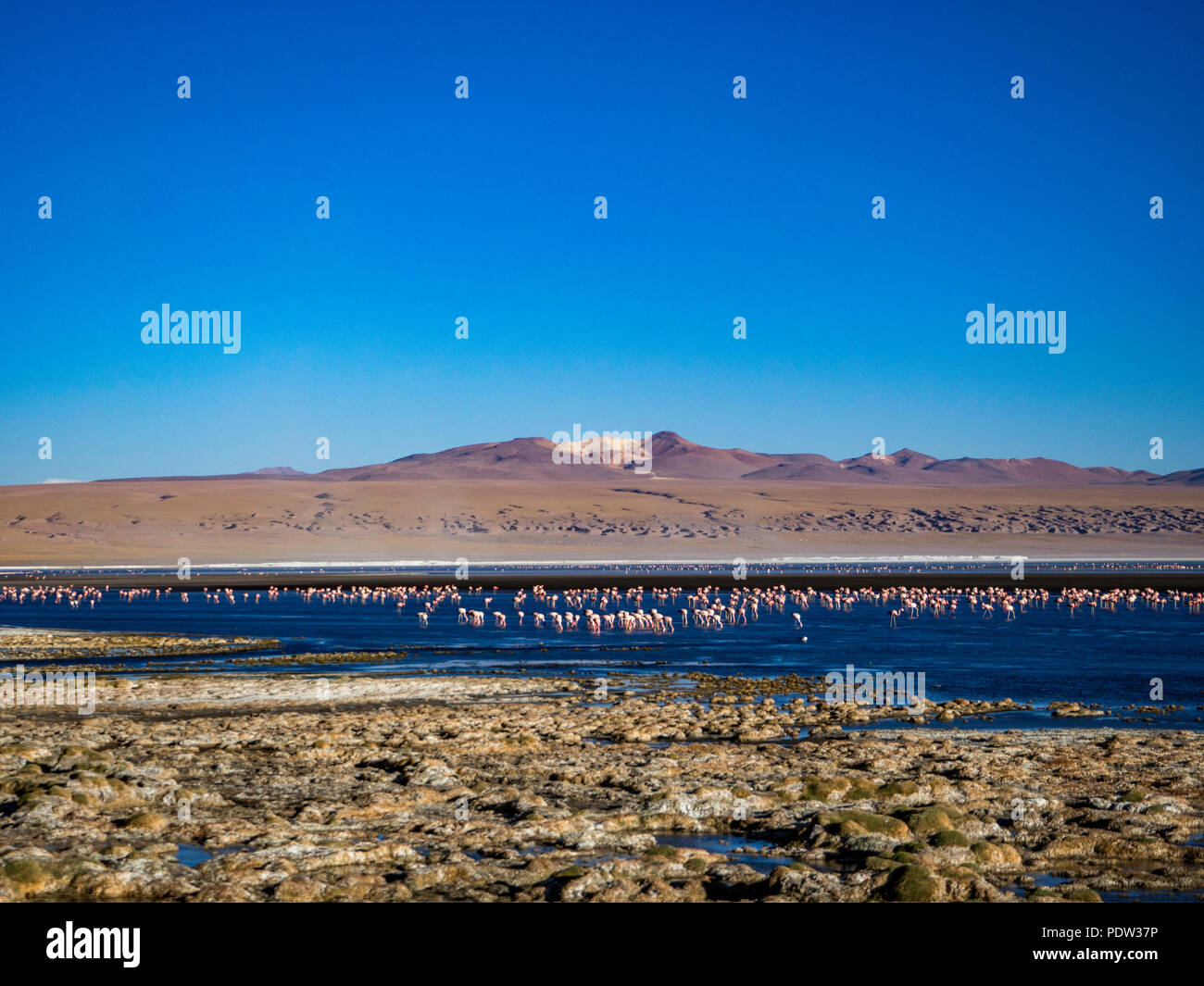Beautiful scenery bolivia hi-res stock photography and images - Alamy