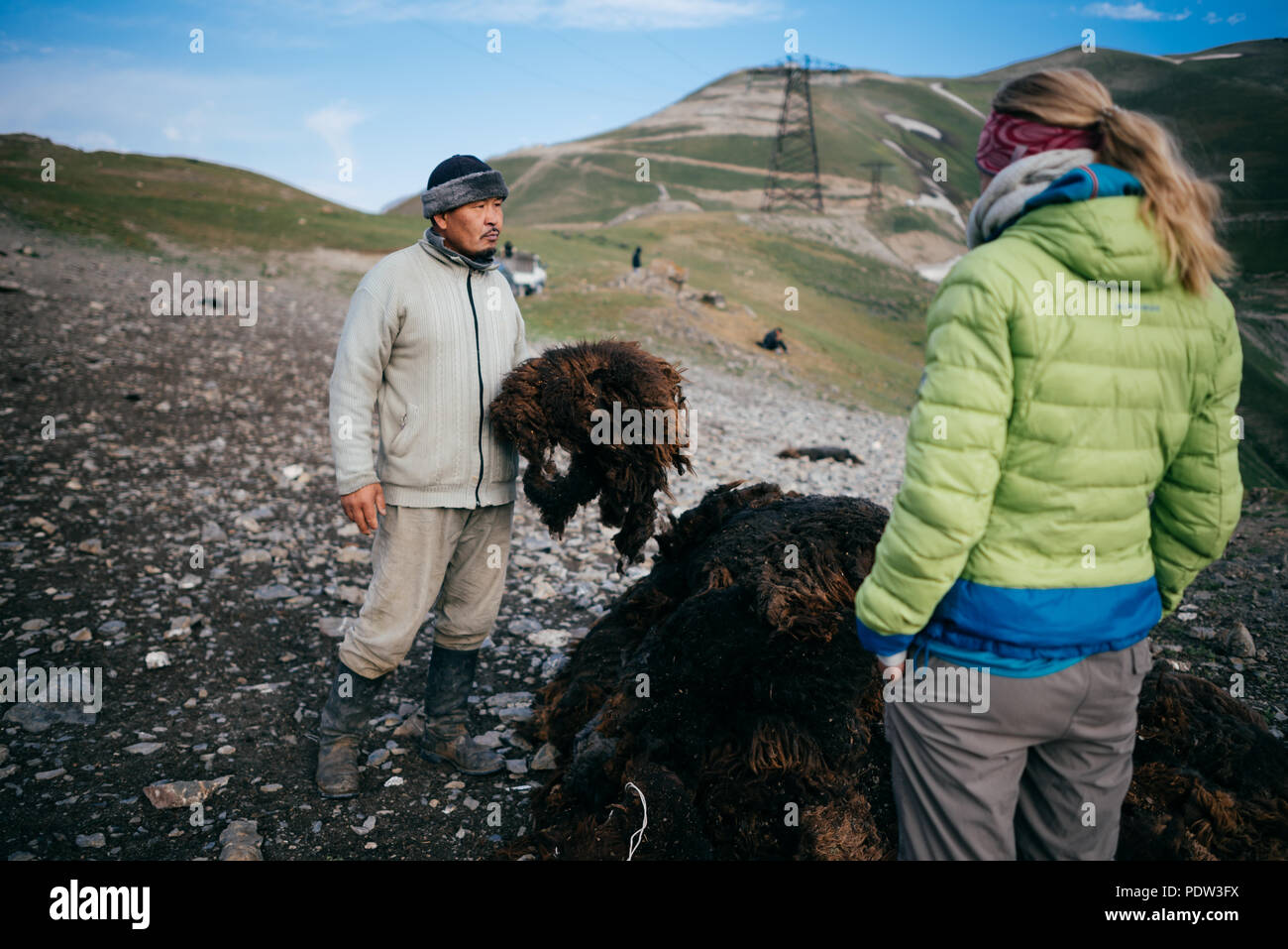 Selling sheep hi-res stock photography and images - Alamy