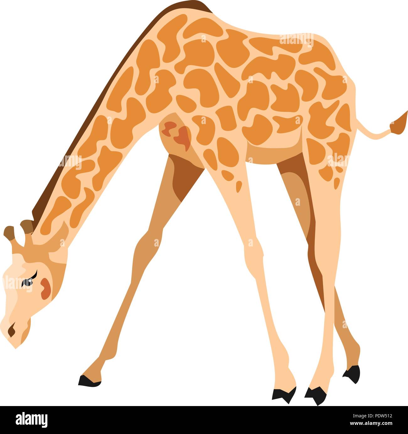 Giraffe Mammal Animal Vector Stock Vector Image & Art - Alamy