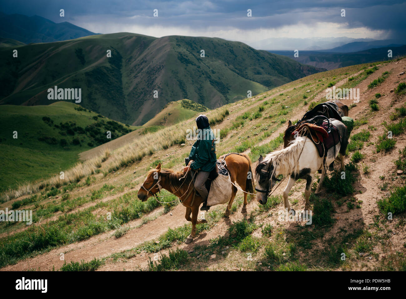 Kyrgyz nomads with their animals Stock Photo - Alamy