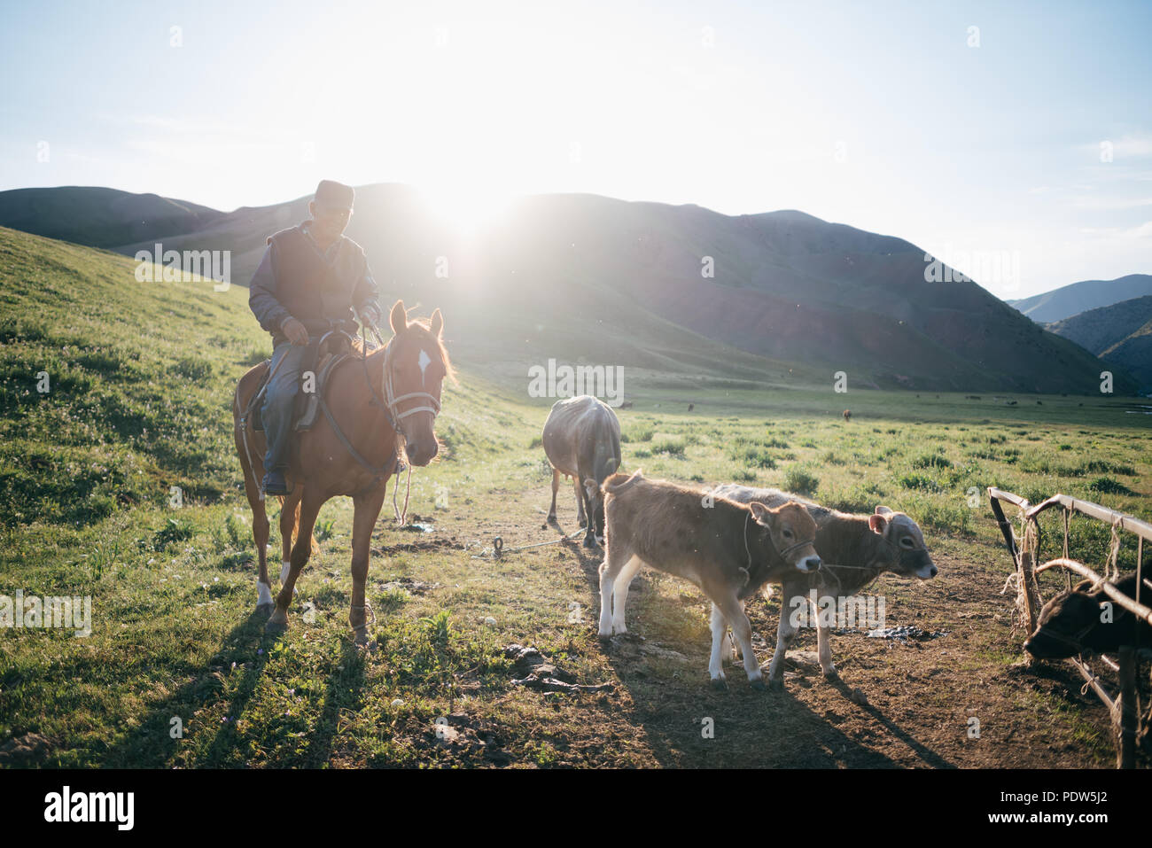 Nomad cowboy hi-res stock photography and images - Alamy