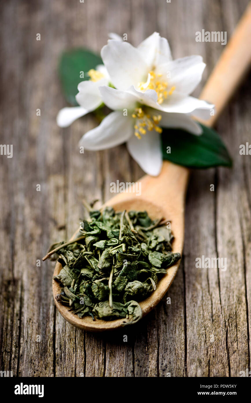 Chinese jasmine plant pot hi-res stock photography and images - Alamy