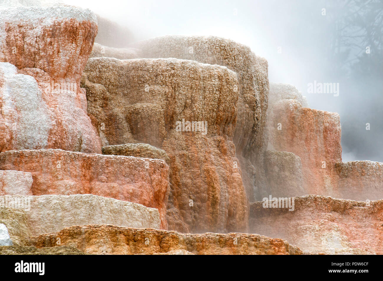 Palette Spring at Mammoth Hot Springs, Yellowstone National Park ...
