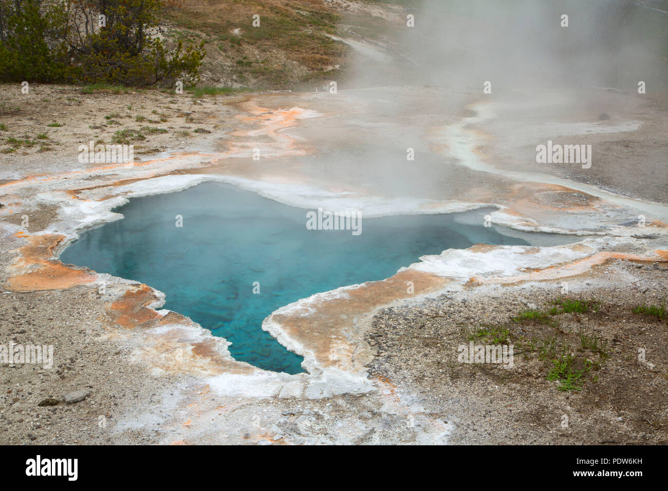 Blue Star Spring at Upper Geyser Basin, Yellowstone National Park ...