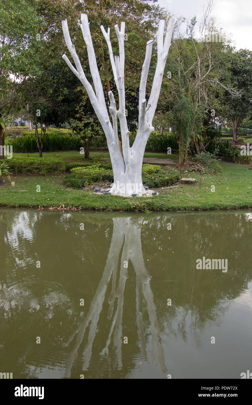 A white painted tree without leaves with cuts branch in the garden with ...