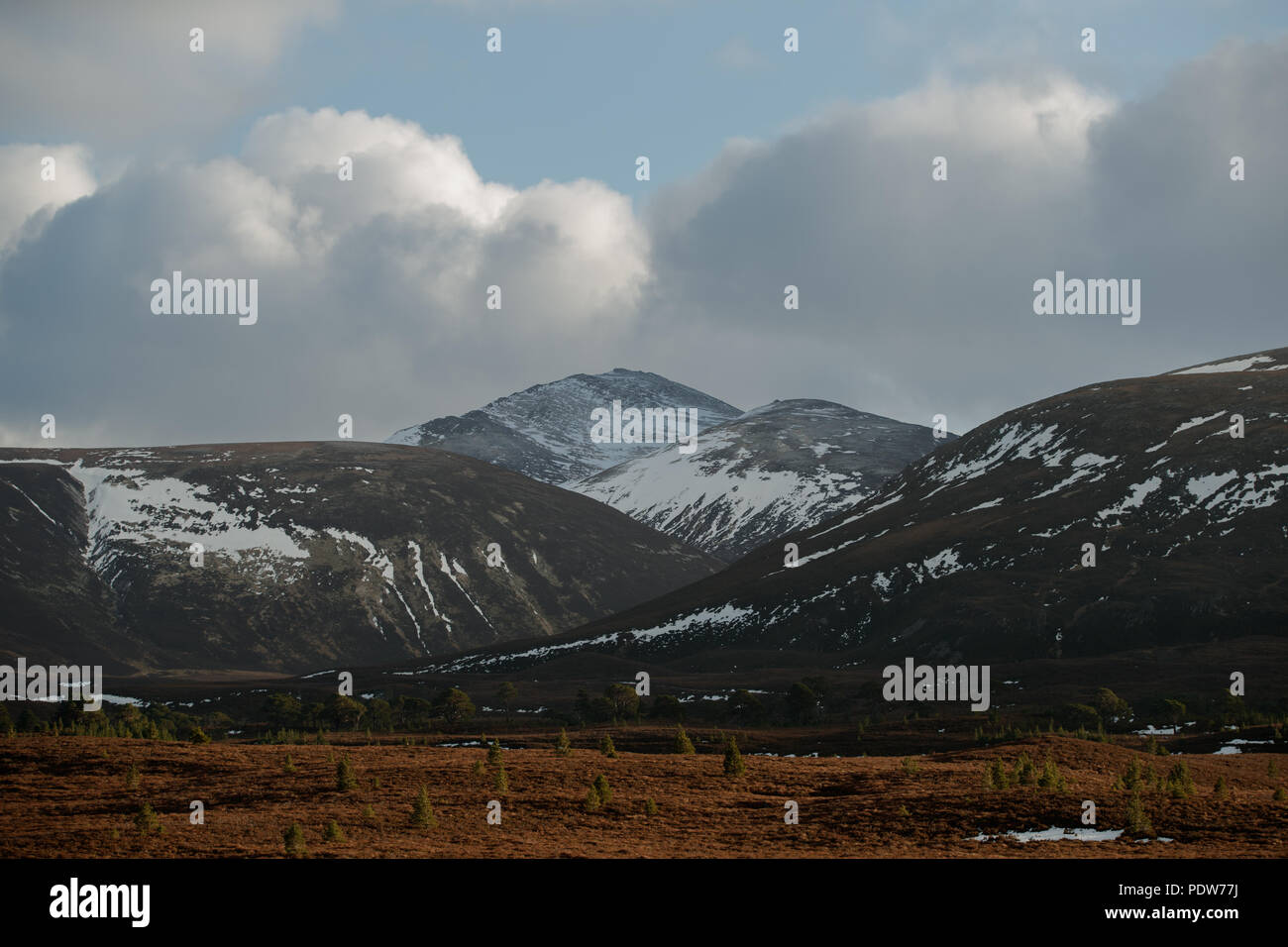Scottish lowland hills hi-res stock photography and images - Alamy
