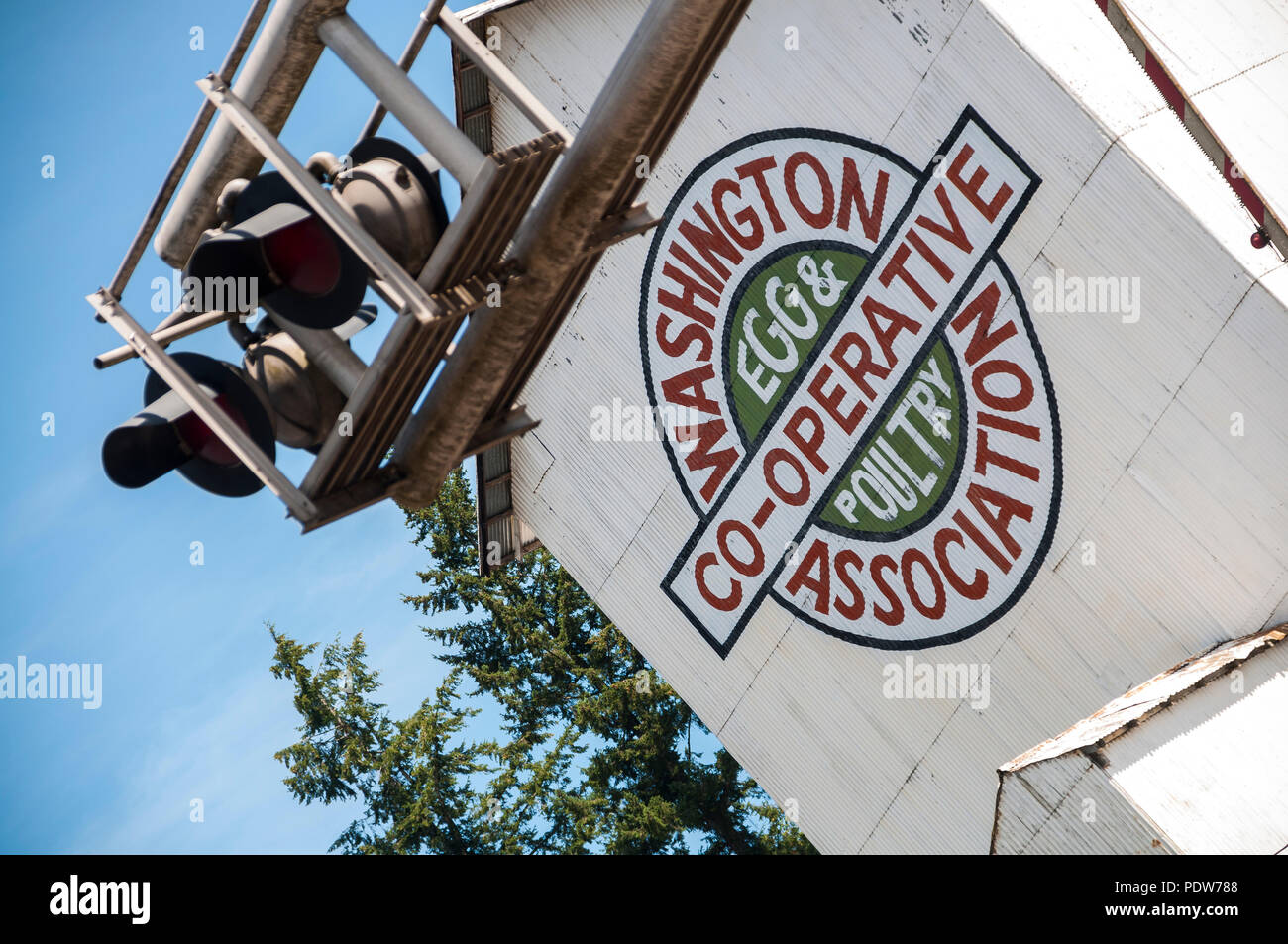 Winlock egg hi-res stock photography and images - Alamy