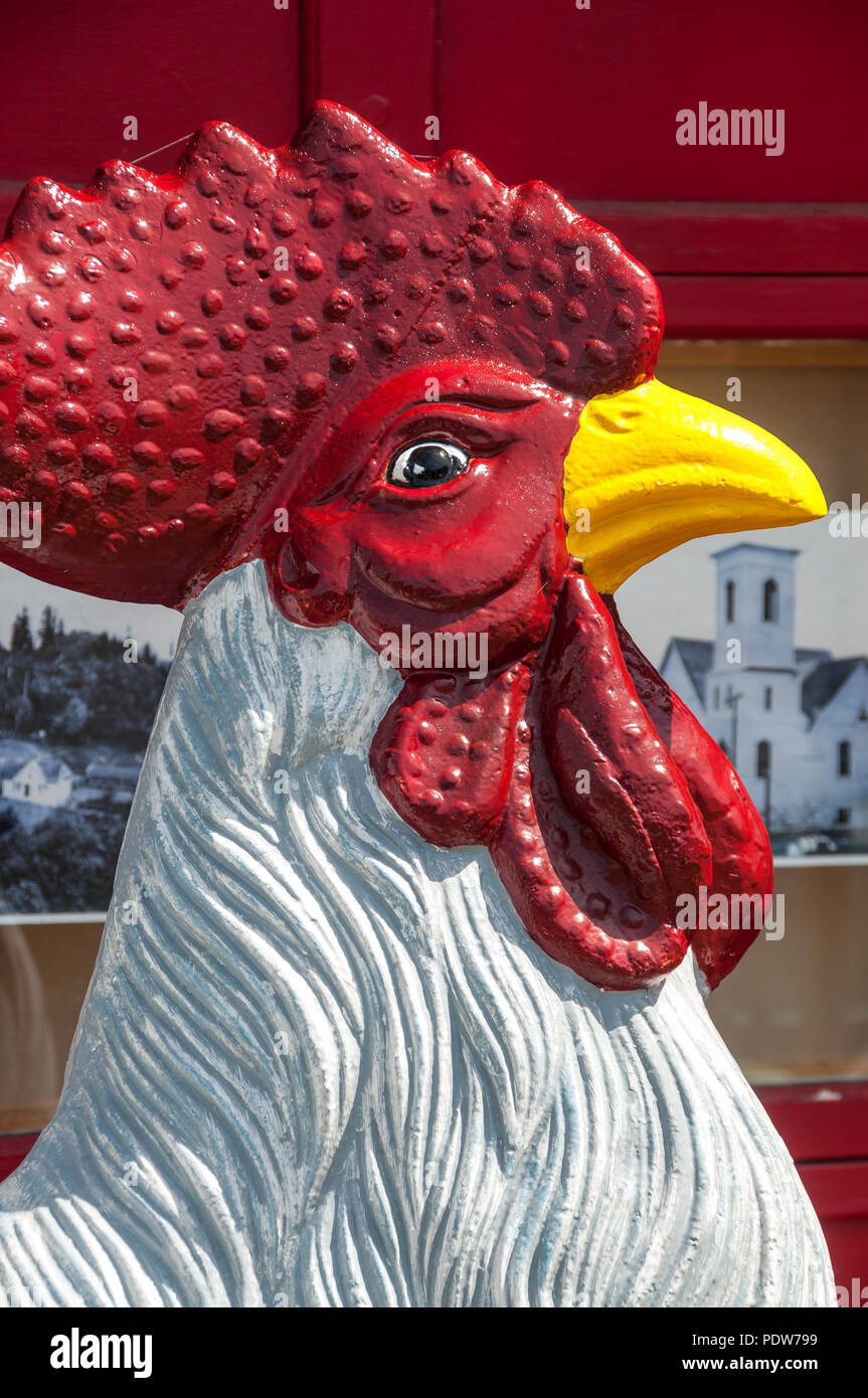 The head of a chicken statue in front of the Winlock Historical Museum ...