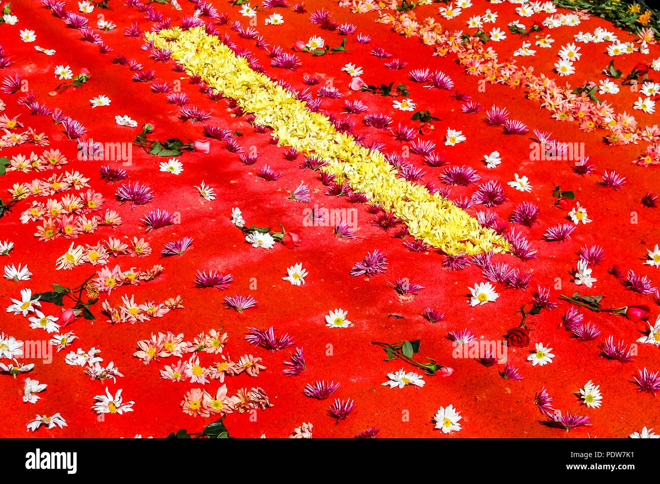 Holy Week procession carpet in UNESCO World Heritage Site with most ...