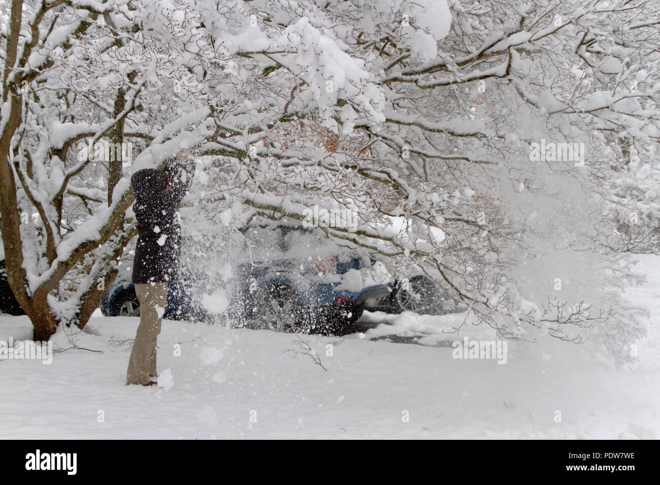 Snow laden roof hi-res stock photography and images - Alamy