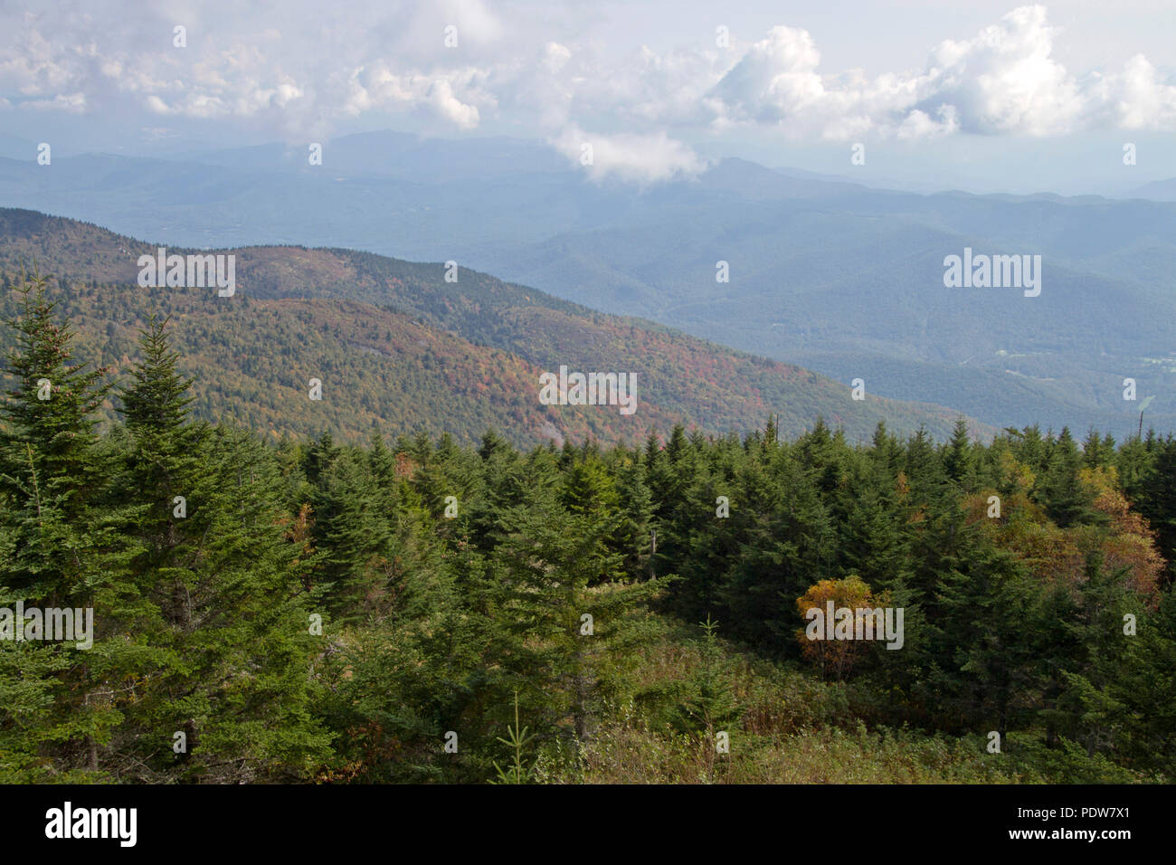 Mount Mitchell State Park Stock Photos & Mount Mitchell State Park ...