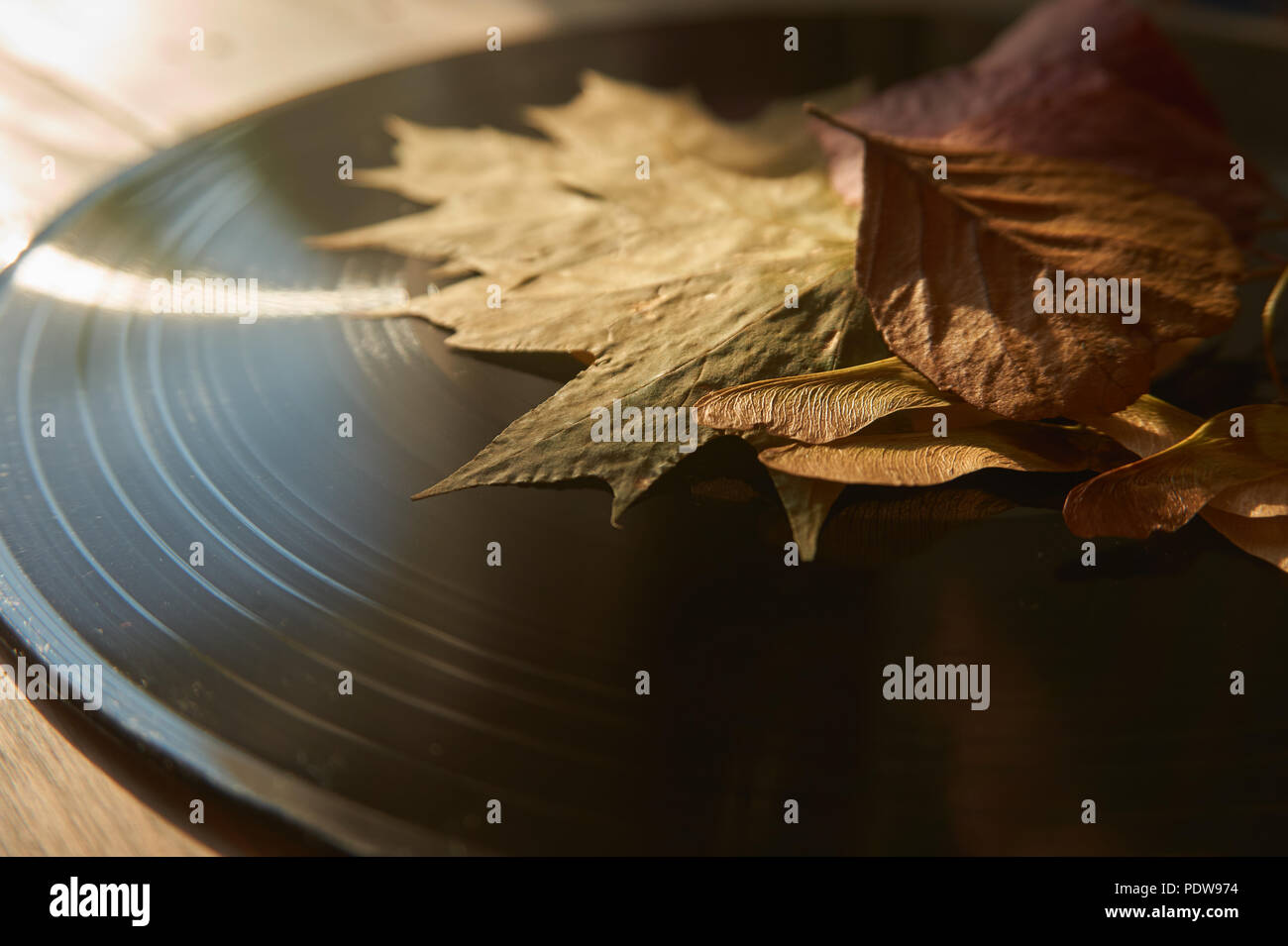 Free fall record hi-res stock photography and images - Alamy
