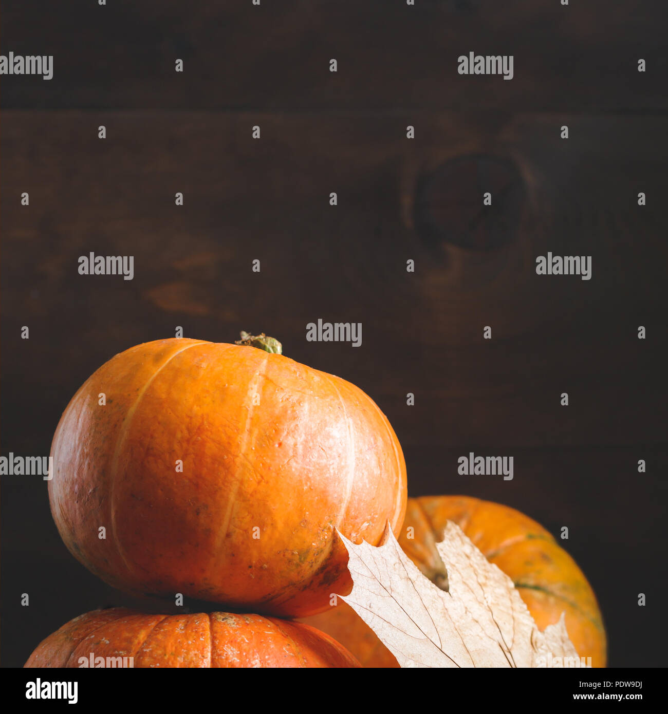Small pumpkins and dried fall leaves still life. Autumn background ...