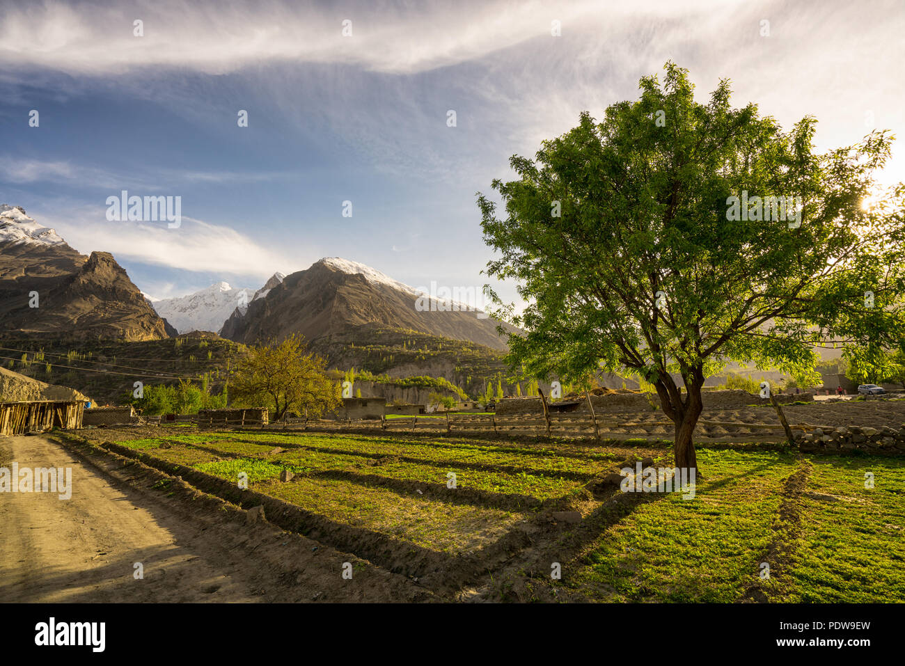 Pakistan mountain farm hi-res stock photography and images - Alamy