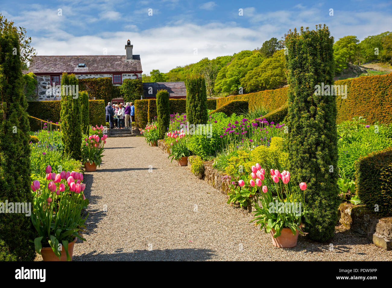UK, Wales, Anglesey, Plas Cadnant Hidden Gardens, Double Herbaceous ...