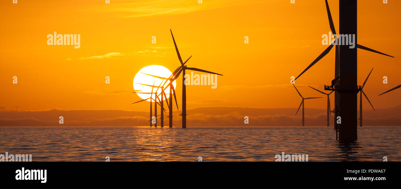 Wind turbines of Walney Offshore Wind Farm in the Irish Sea at sunrise ...