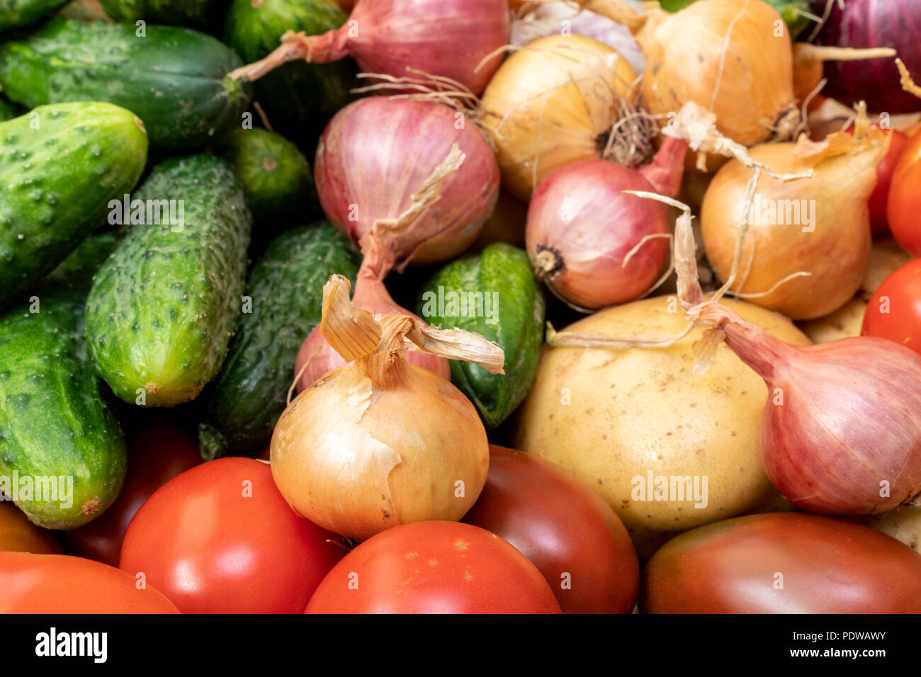 Healthy eating concept / studio photography of organic vegetables close ...