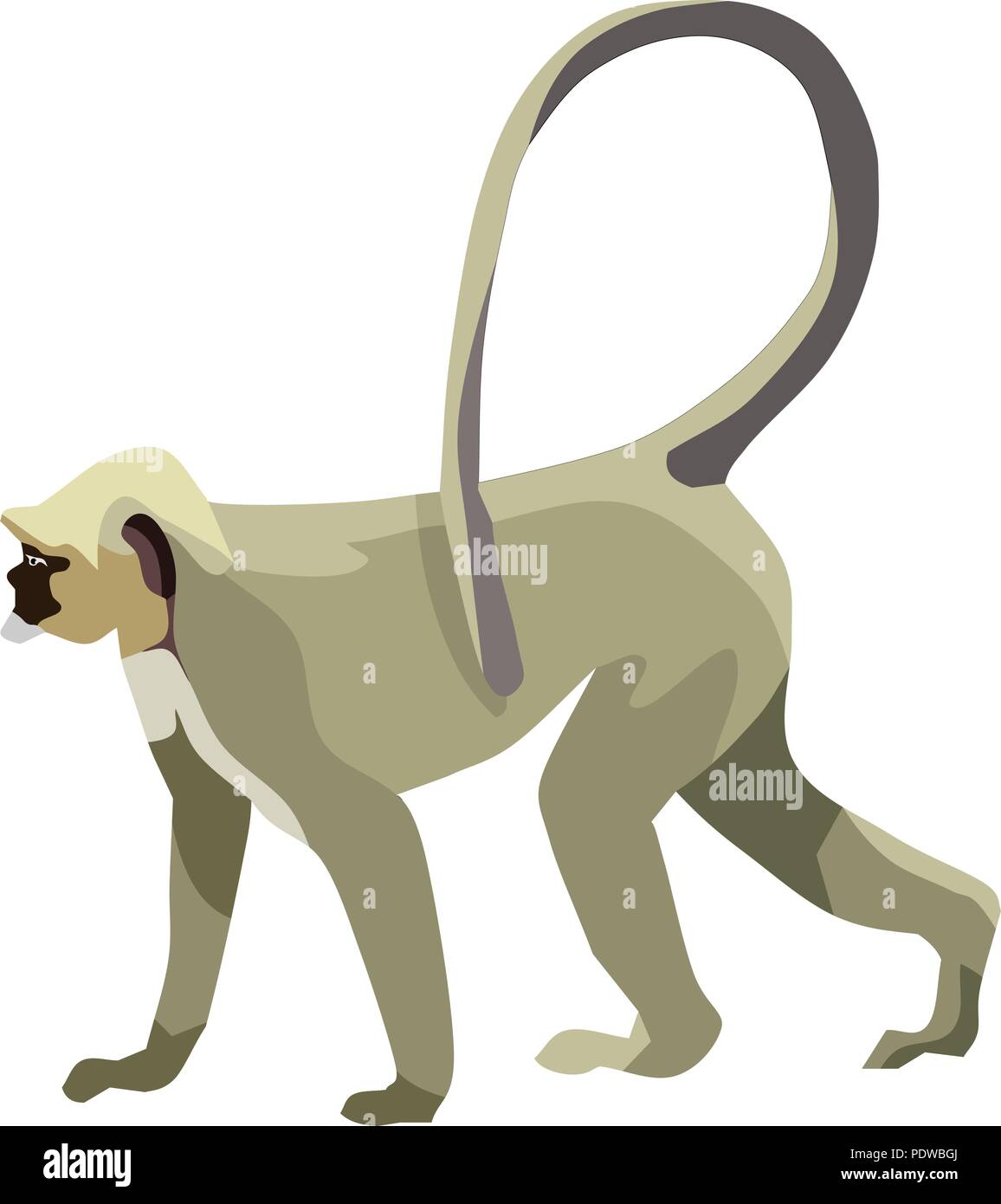 Monkey Mammal Animal Vector Stock Vector Image & Art - Alamy