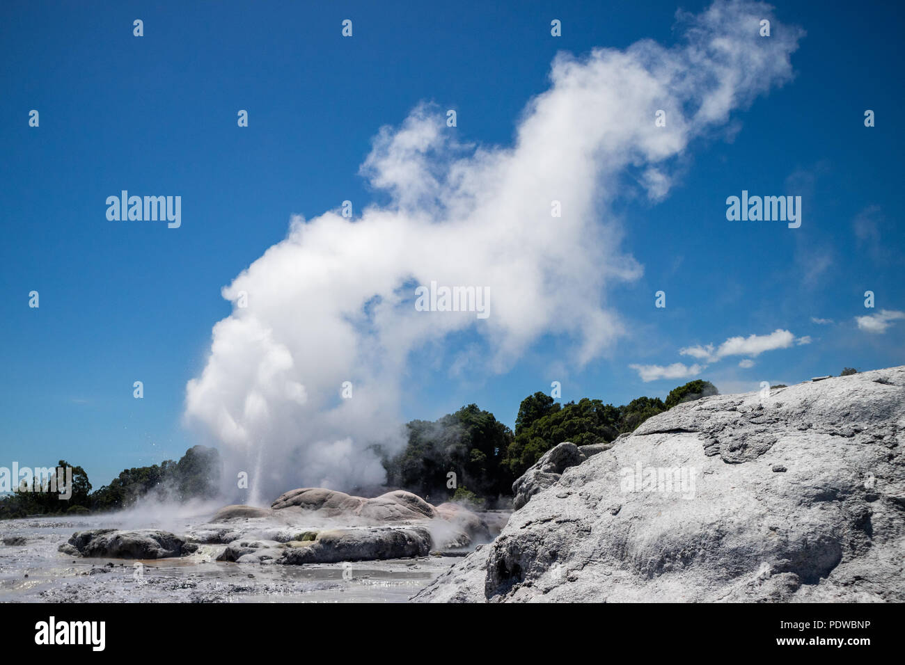 Geyser eruption new zealand hi-res stock photography and images - Alamy