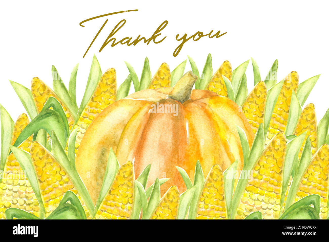 design of thank you card with watercolor autumn harvest of pumpkin and ...