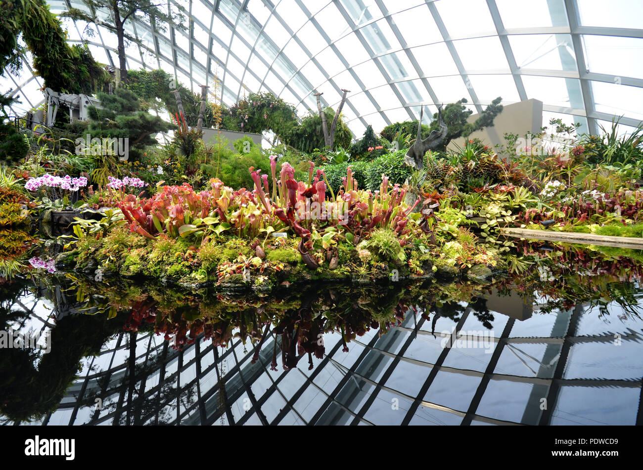 SINGAPORE- SEP 5: View of Cloud Forest at Gardens by the Bay on September 5, 2015. in Singapore ...