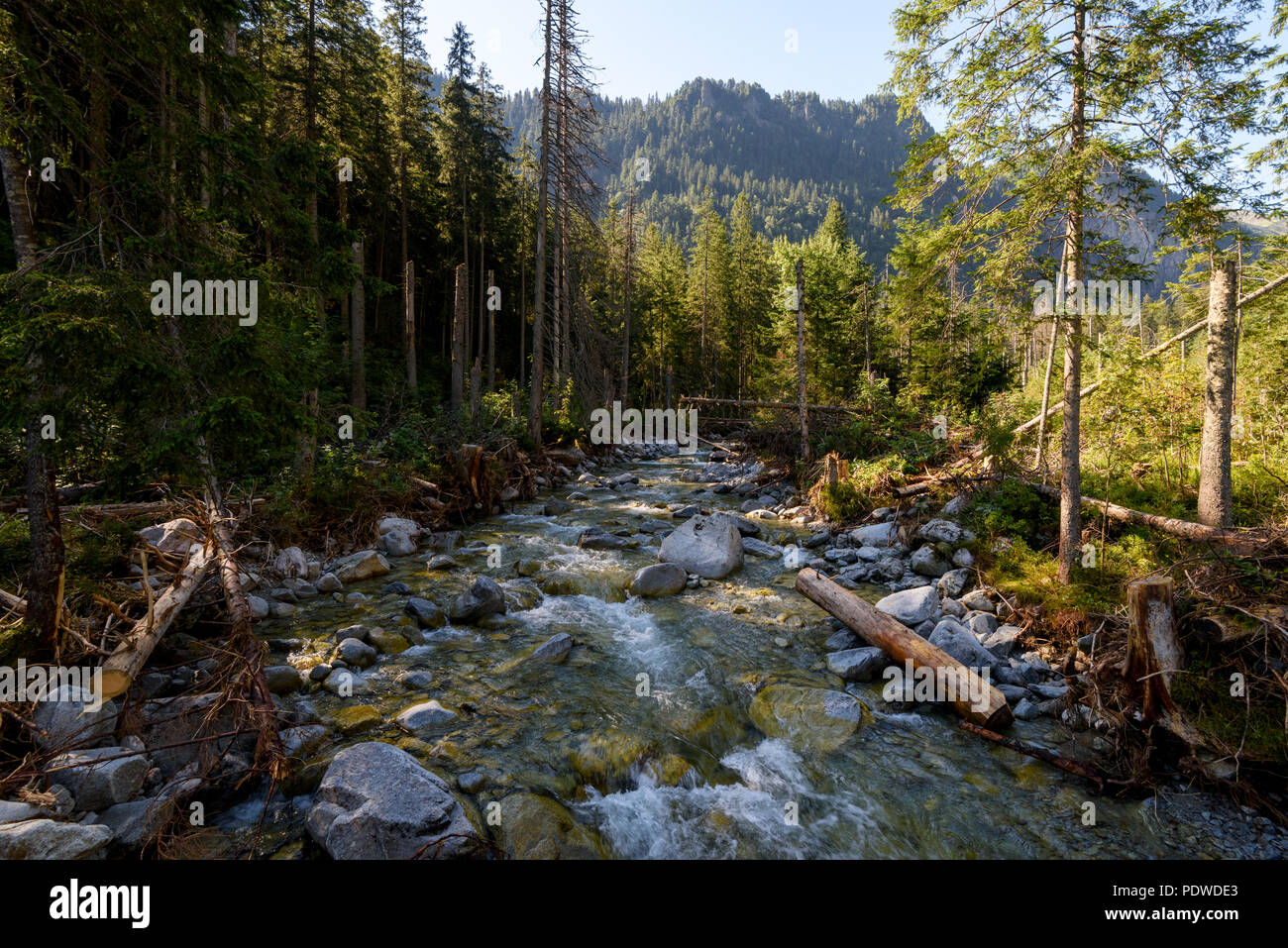 Beautiful stream in the High Tatra Stock Photo - Alamy
