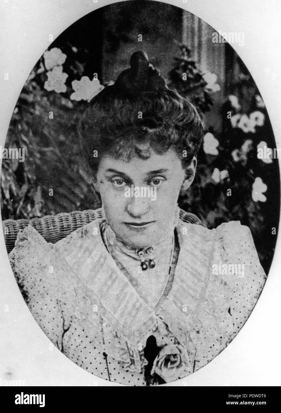 Lady lamington hi-res stock photography and images - Alamy