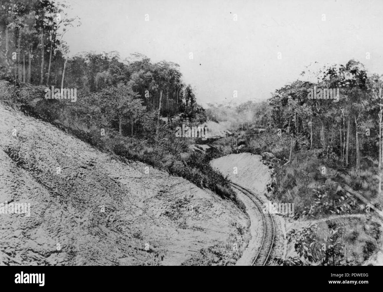 Cooroy hi-res stock photography and images - Alamy
