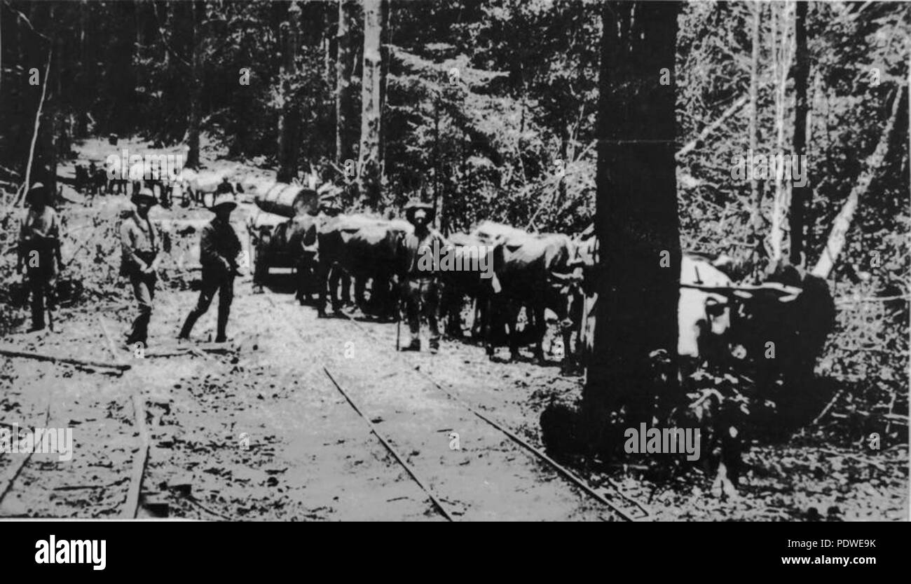 Bullock team Black and White Stock Photos & Images - Alamy