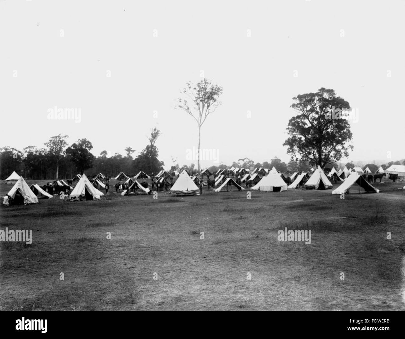 221 StateLibQld 1 137787 Enoggera Army Camp, ca. 1914 Stock Photo - Alamy