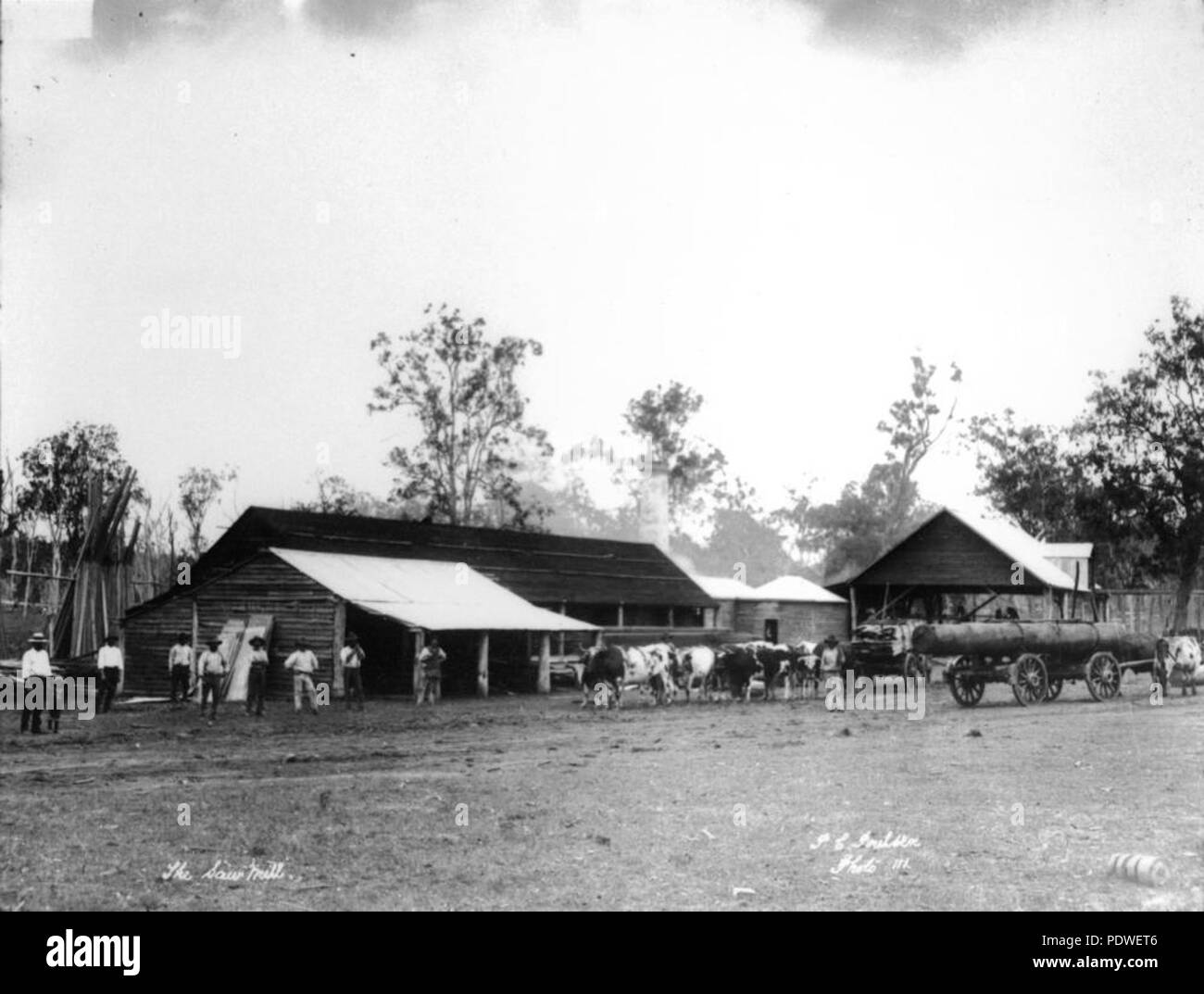 Timber jinker hi-res stock photography and images - Alamy