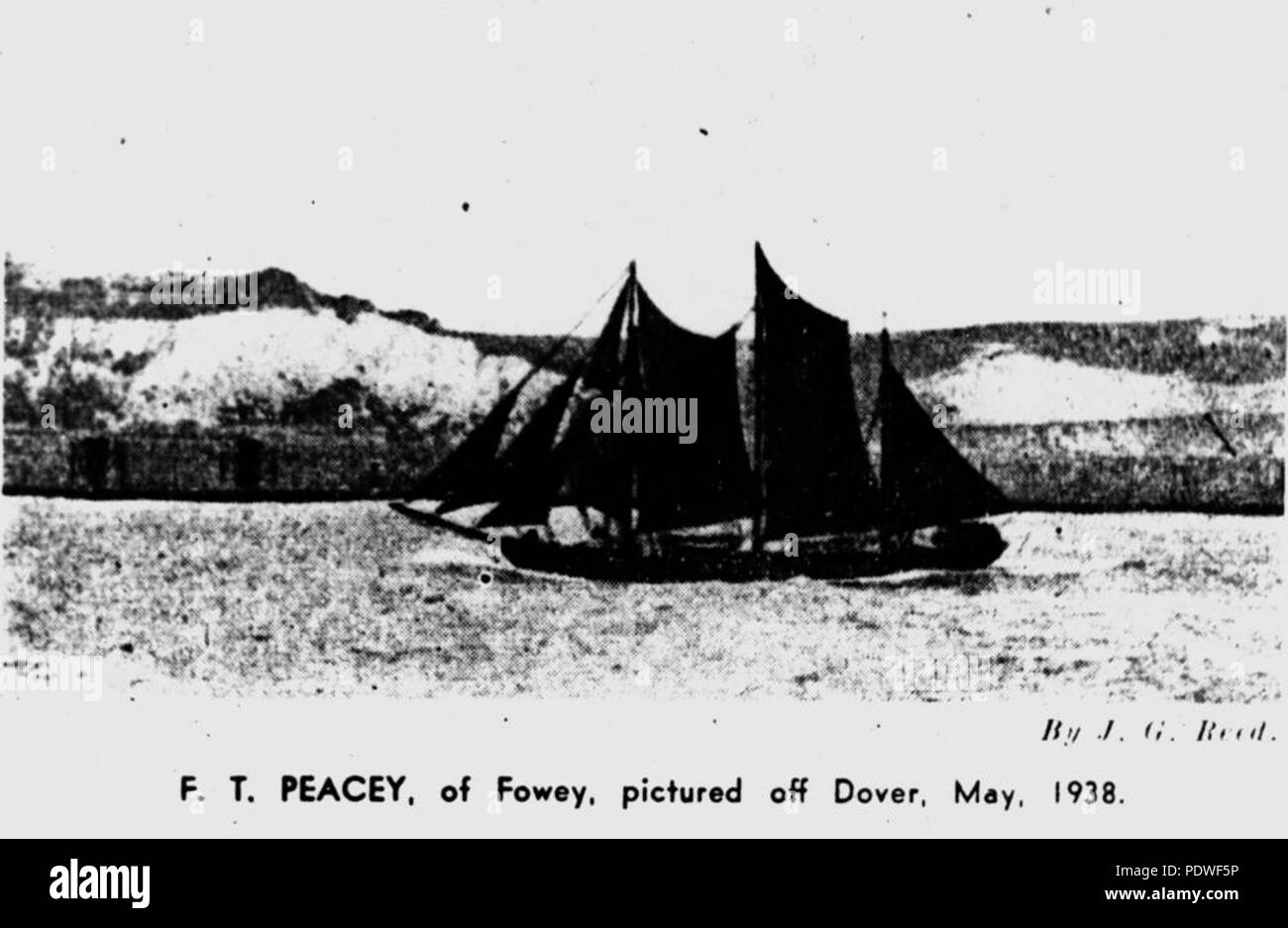 Peacey hi-res stock photography and images - Alamy