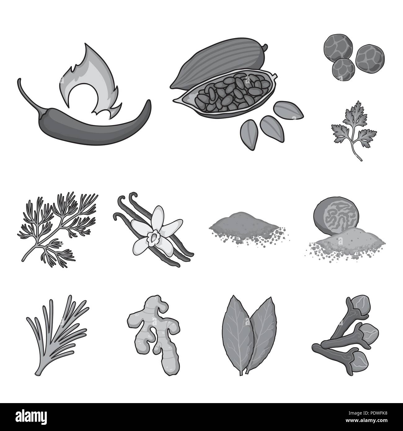 Herb and spices monochrome icons in set collection for design.Different ...