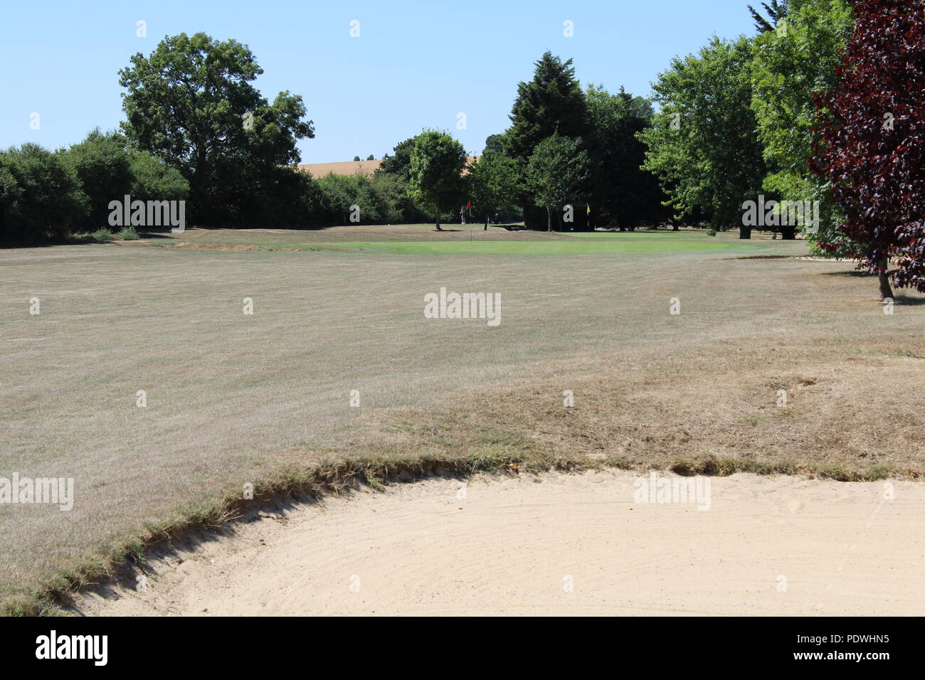 Approach golf course hi-res stock photography and images - Alamy