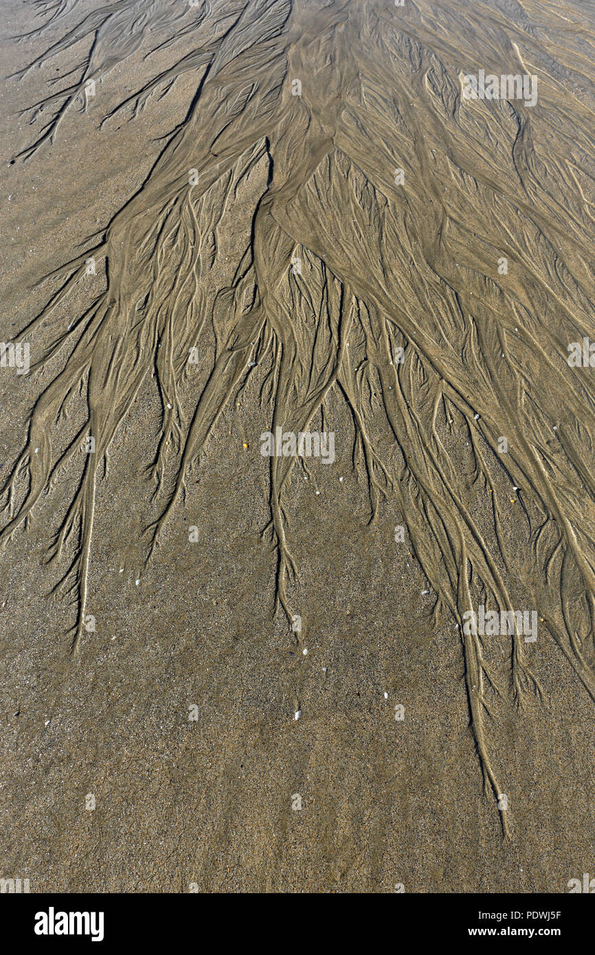 Interesting wet sand ripples pattern in a sea beach Stock Photo - Alamy