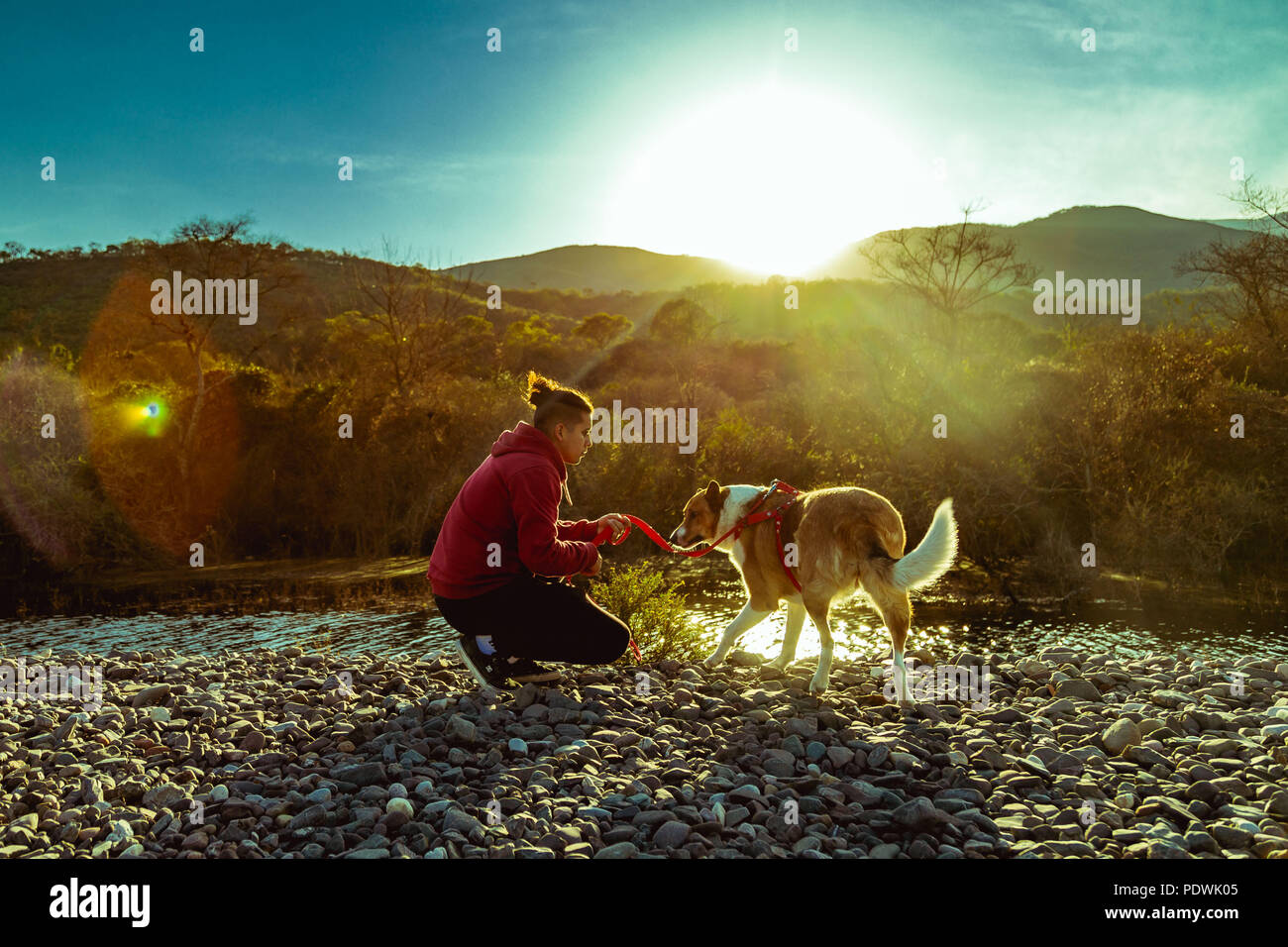 Human pets hi-res stock photography and images - Alamy