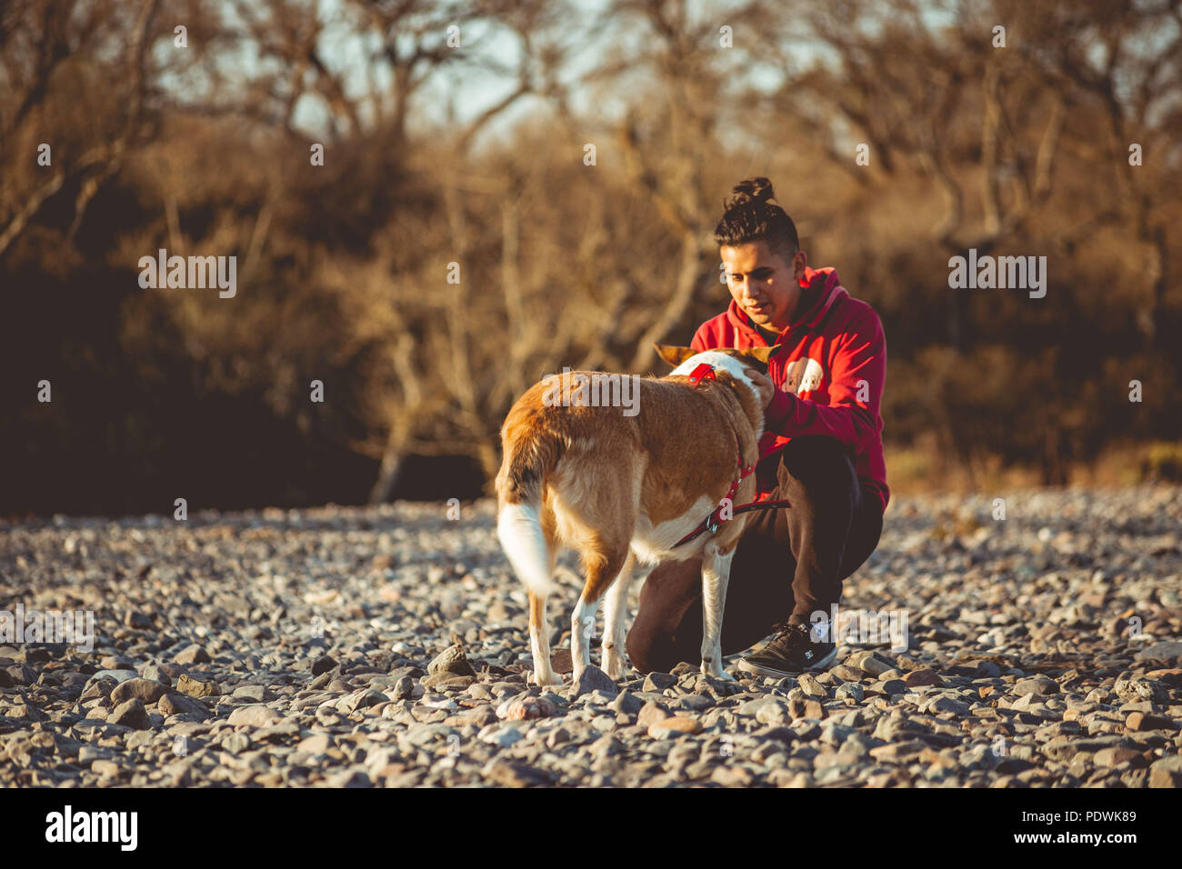 Human pets hi-res stock photography and images - Alamy