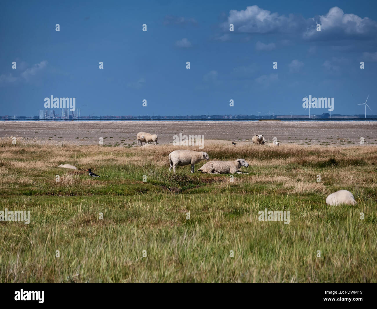 Wadden sea with Esbjerg harbor from the island Mando, Denmark Stock ...
