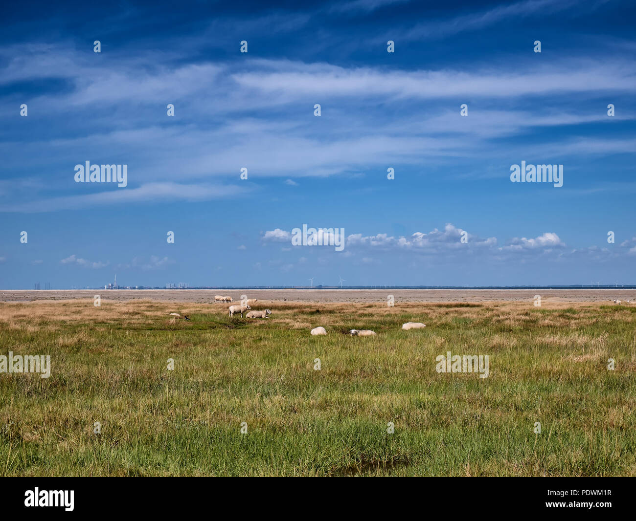 Wadden sea with Esbjerg harbor from the island Mando, Denmark Stock ...