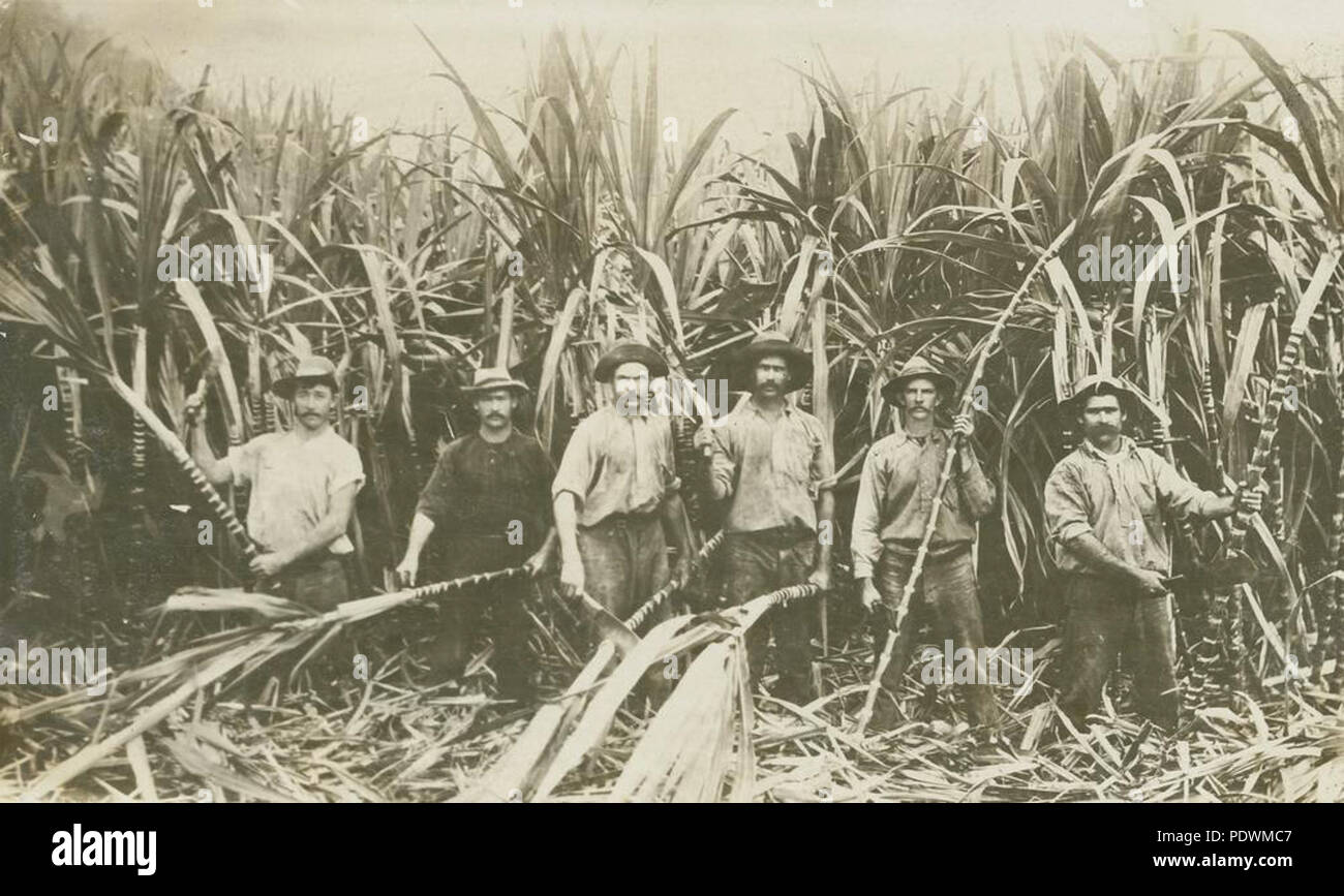 Cane cutters in queensland hi-res stock photography and images - Alamy