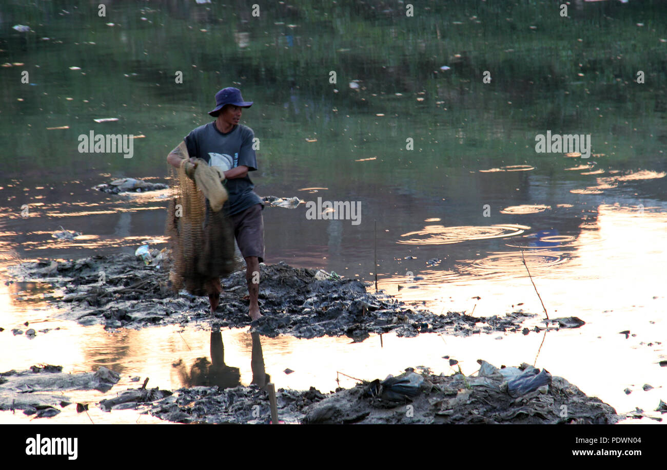 Pollution river fish hi-res stock photography and images - Alamy