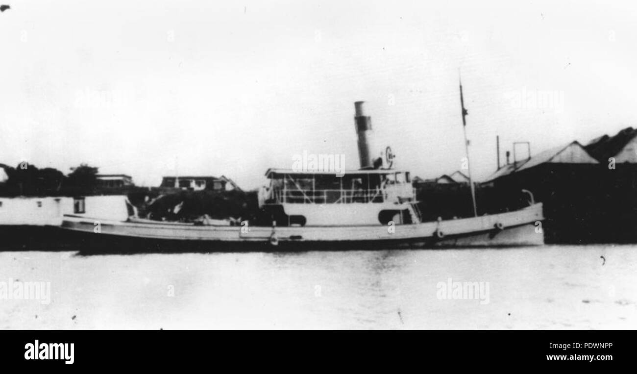 Sea greyhound hi-res stock photography and images - Alamy