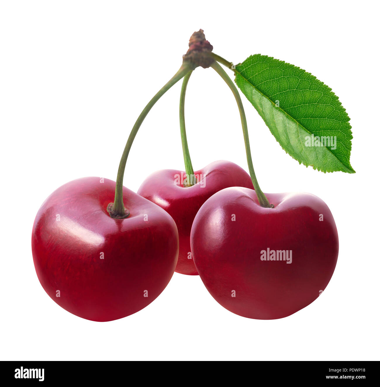 Three berries together isolated hi-res stock photography and images - Alamy