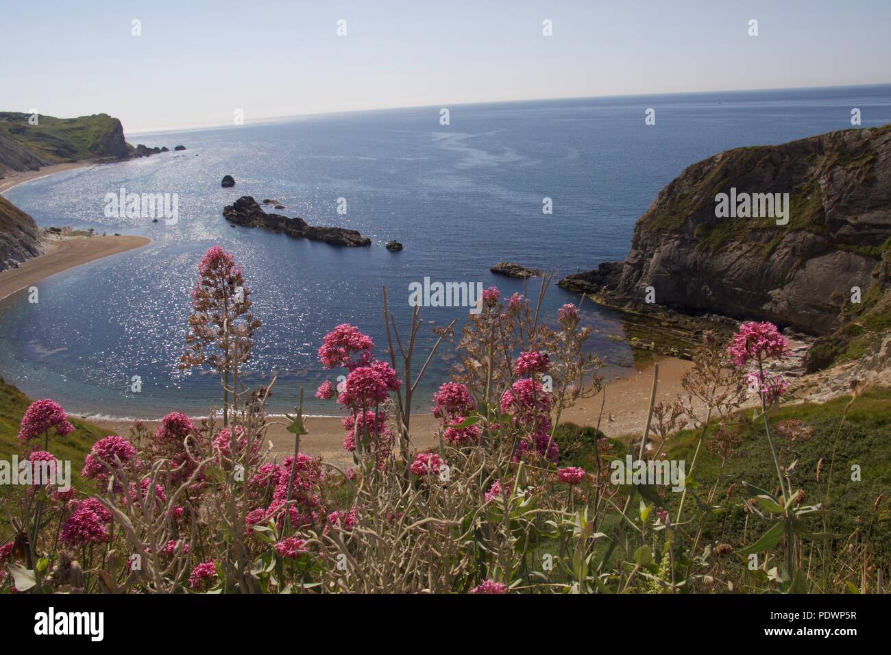 Man O' War beach Dorset Stock Photo - Alamy Man O' War beach Dorset Stock Photo - Alamy