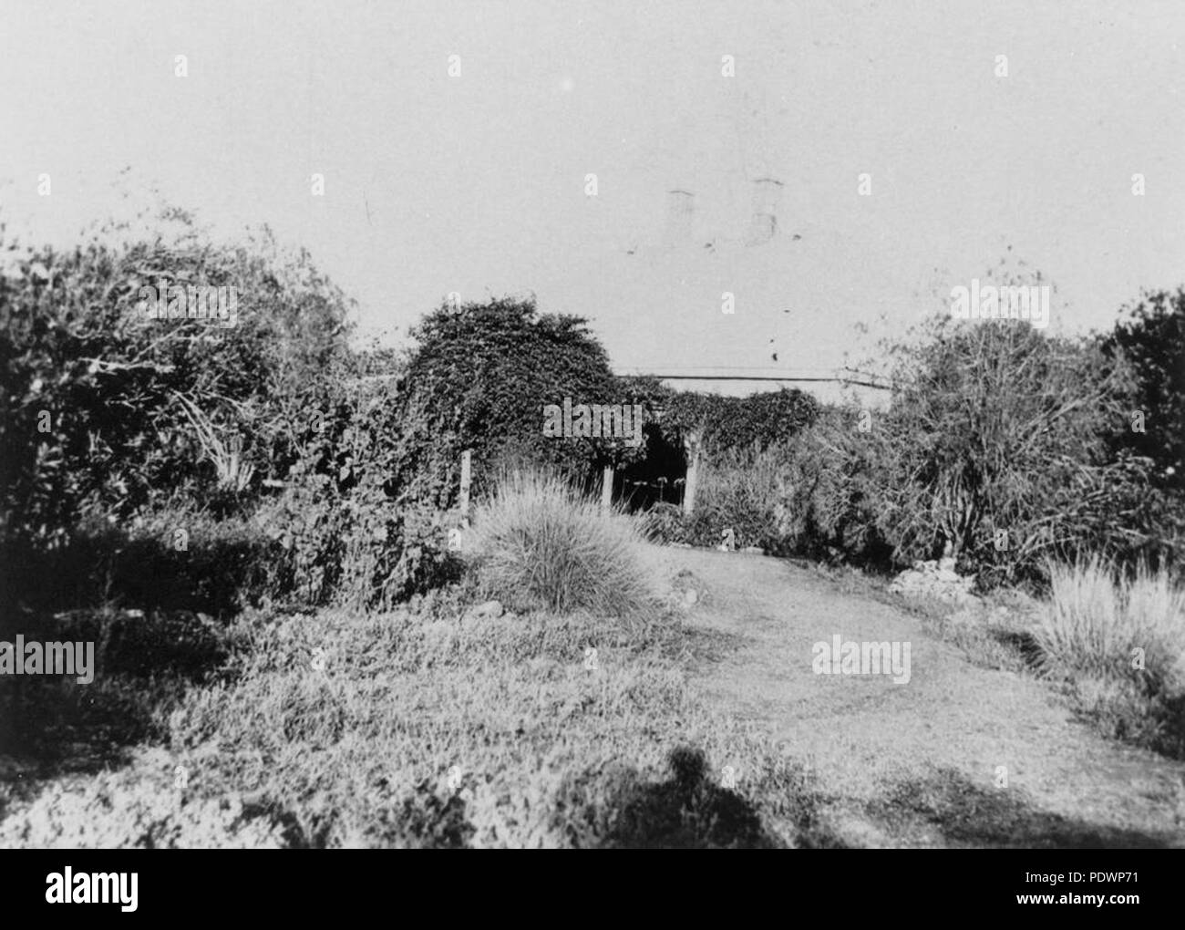 278 StateLibQld 1 97948 View of the homestead on Mount Cornish Station ...