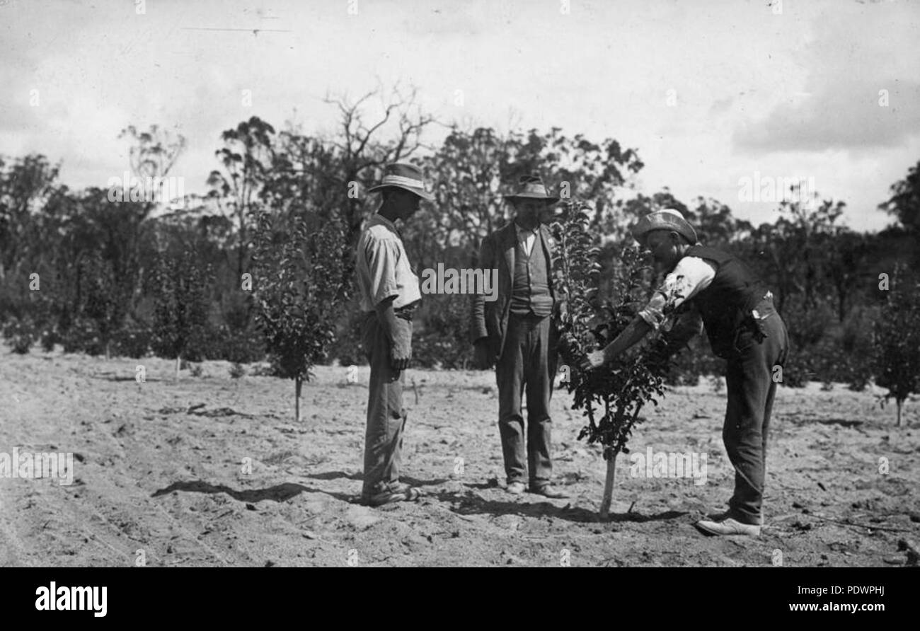 Fruit planting Black and White Stock Photos & Images - Alamy