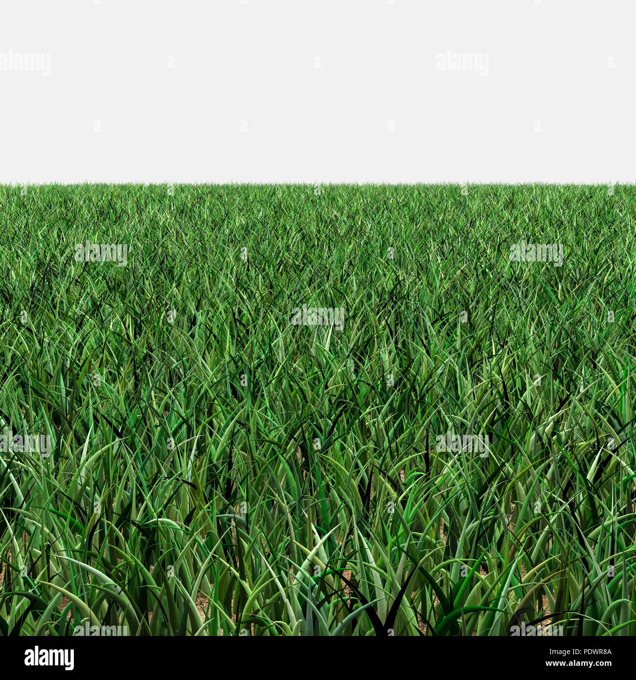 Cg Render High Resolution Stock Photography and Images - Alamy