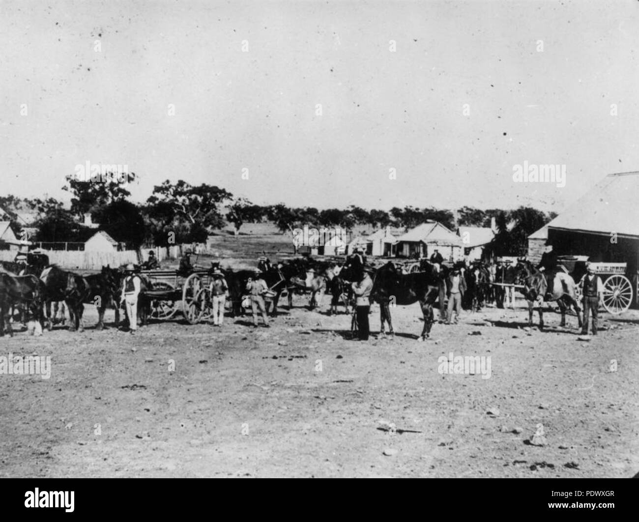 225 StateLibQld 1 14330 Activity at Jimbour Station, ca. 1884 Stock ...