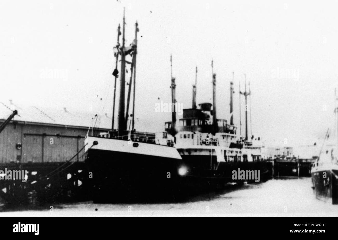 Puriri hi-res stock photography and images - Alamy