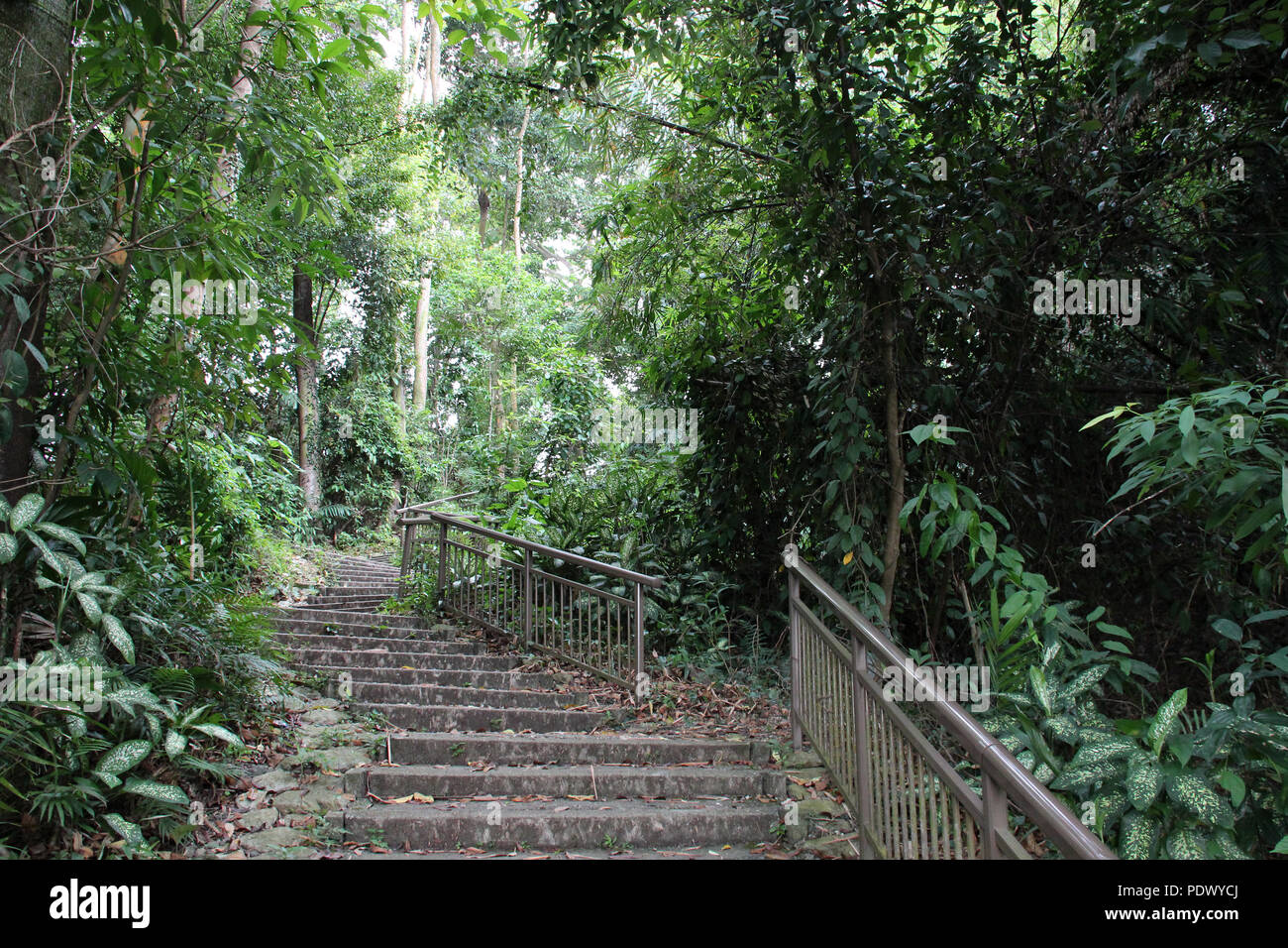 In the Mount Faber Park in Singapore Stock Photo - Alamy